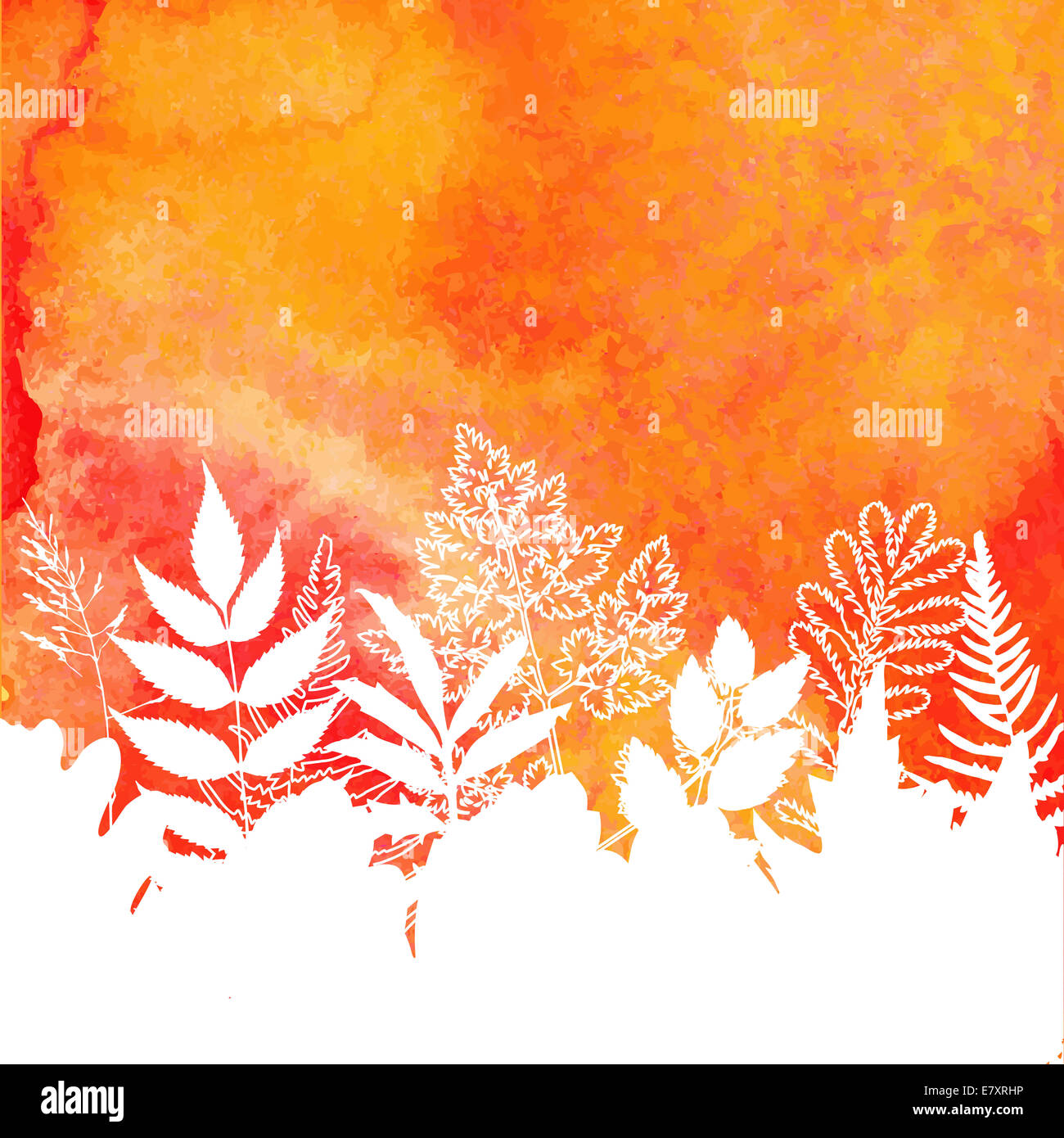 Orange watercolor painted vector autumn foliage background Stock Photo ...