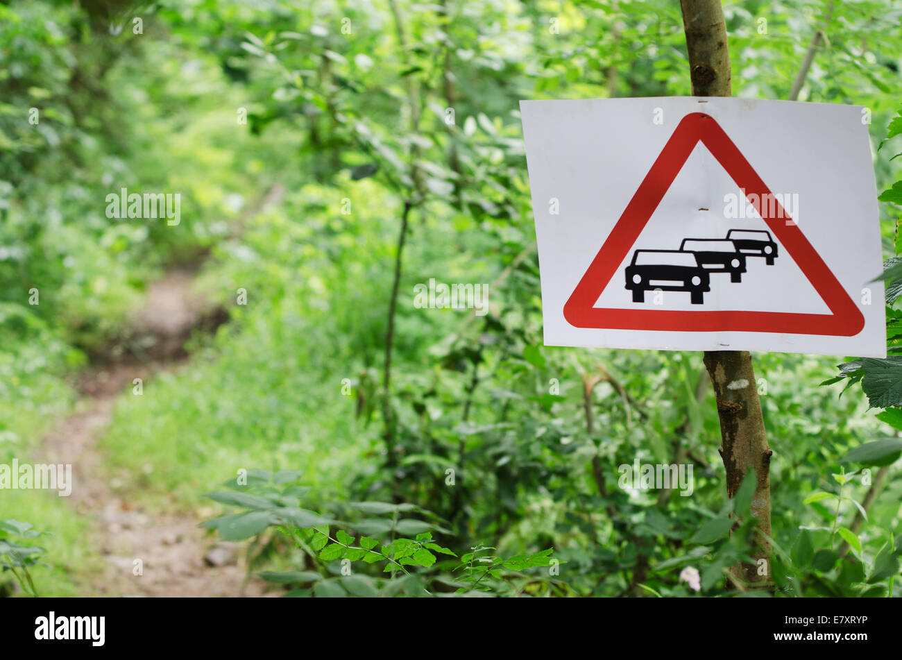 Forked tree trunk forest hi-res stock photography and images - Alamy