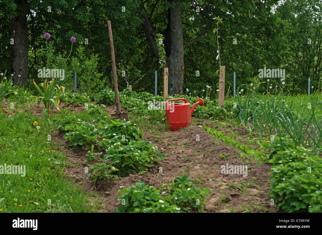 Garden wheelbarrow earth pattern hi-res stock photography and images ...