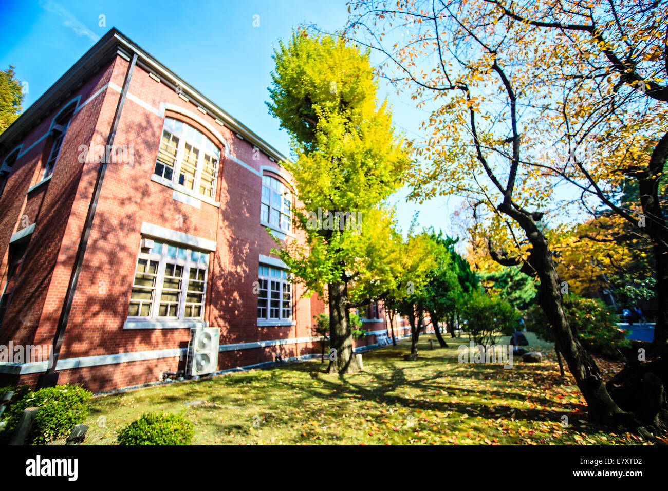 Tokyo university building hi-res stock photography and images - Alamy