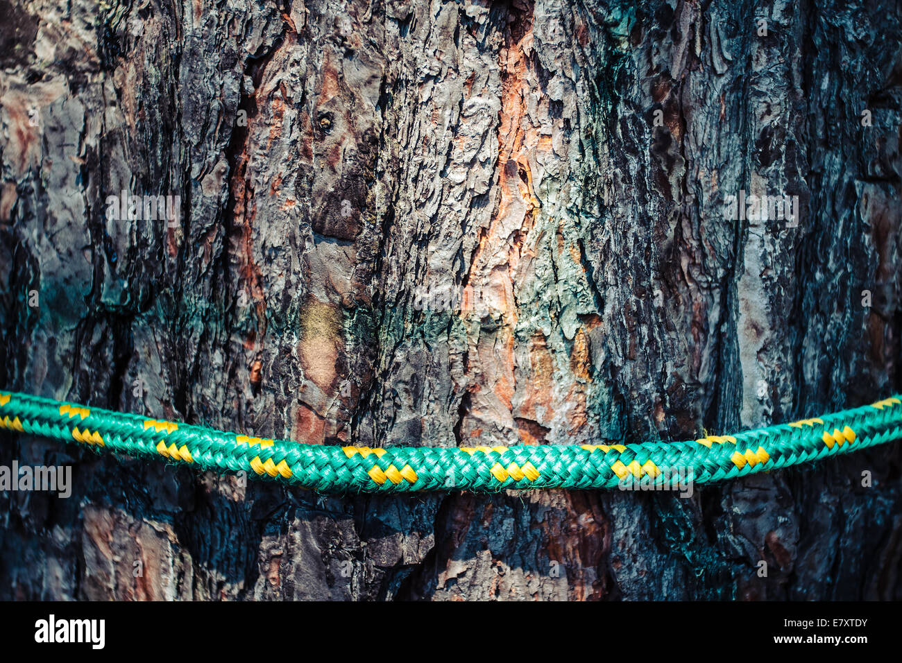 Rope tied to tree hi-res stock photography and images - Alamy