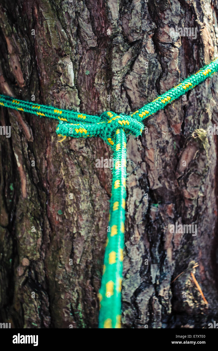 Rope tied to tree hi-res stock photography and images - Alamy