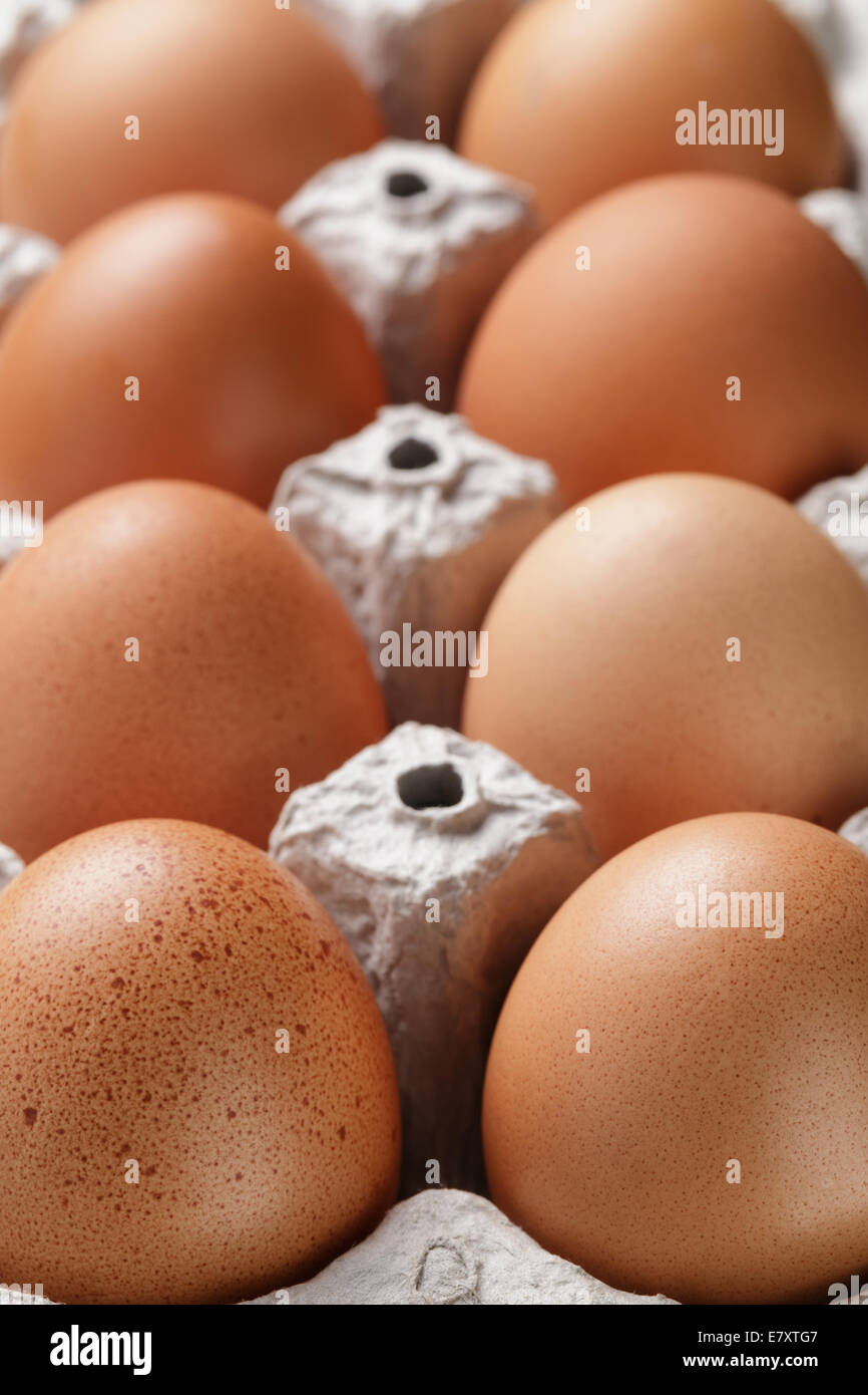 brown raw chicken eggs in container, close up photo Stock Photo - Alamy