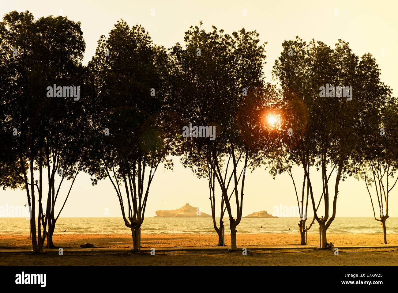 Trees by the sea at sunset, Maqbarah Islands, Al Sawadi Beach Hotel and ...