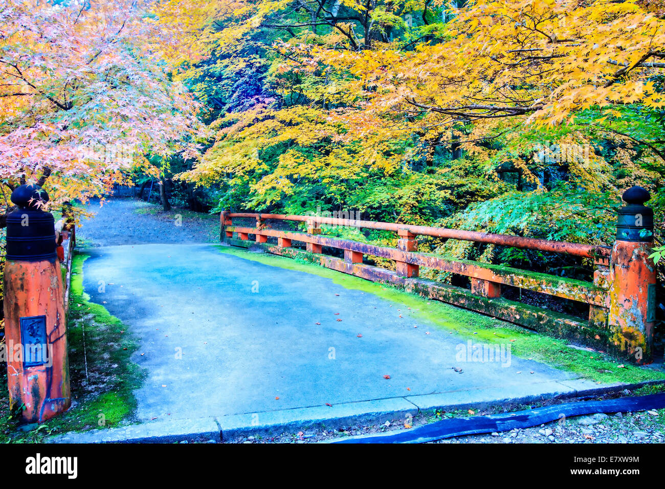 Daigo-ji is a Shingon Buddhist temple in Fushimi-ku for adv or others ...