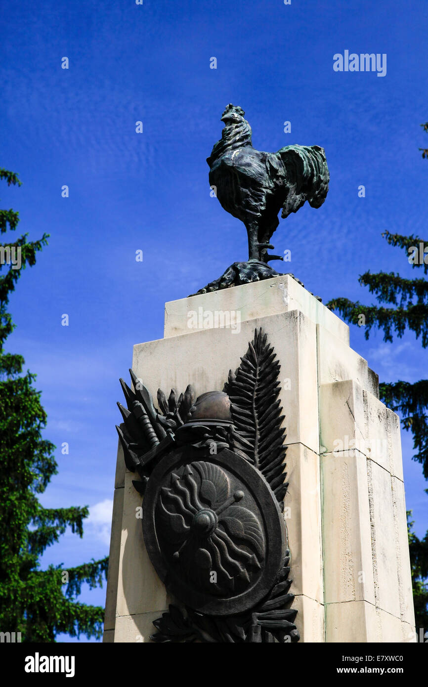 Bellu hi-res stock photography and images - Alamy