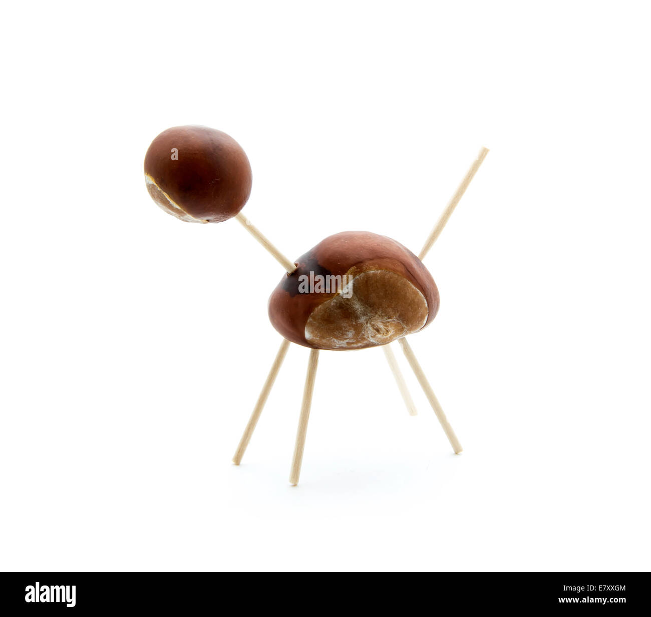 chestnut figure isolated on white background Stock Photo - Alamy