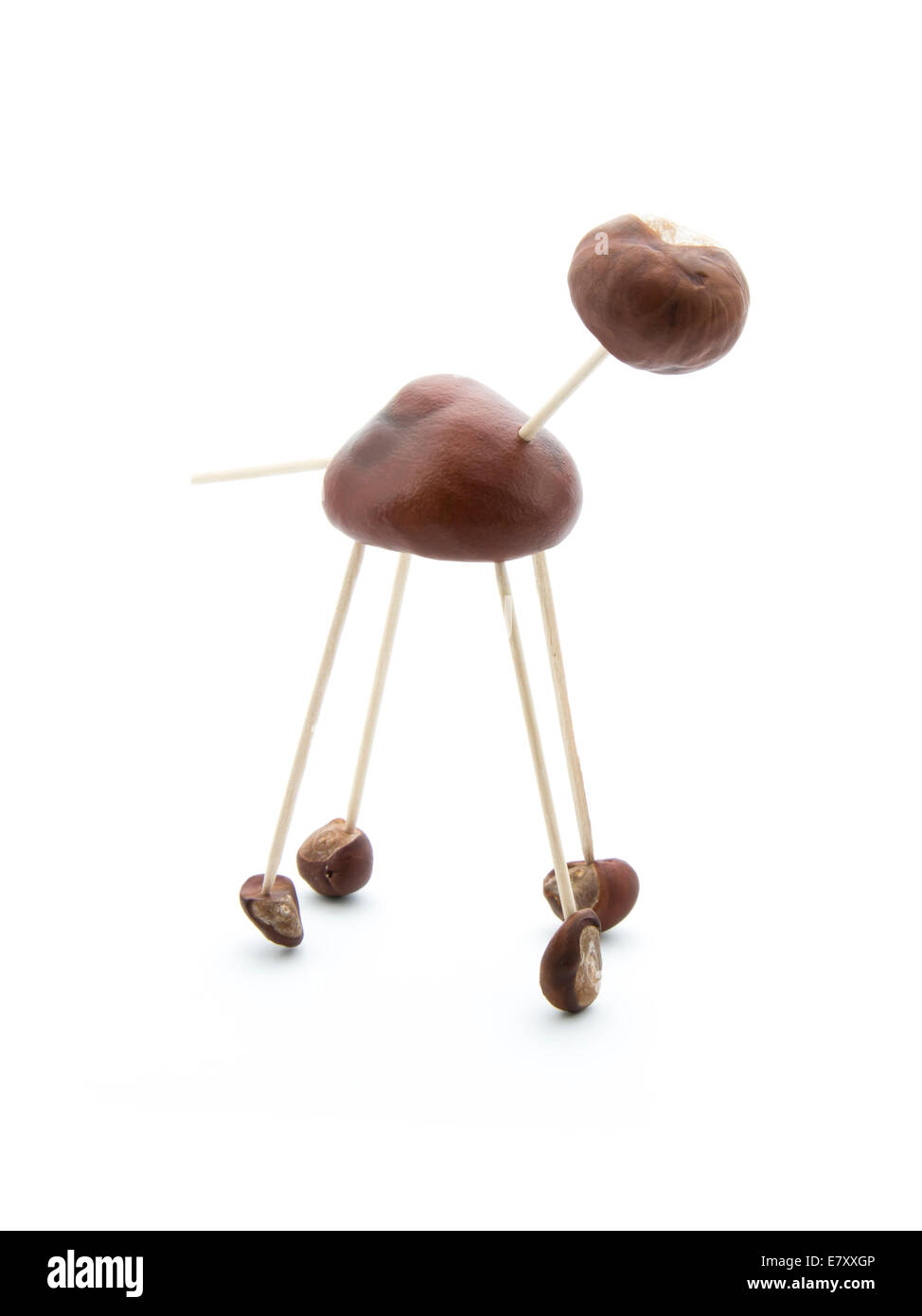chestnut figure isolated on white background Stock Photo - Alamy