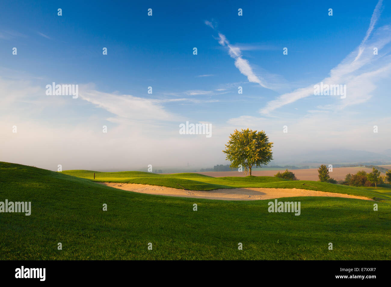 Misty morning on a empty golf course Stock Photo - Alamy