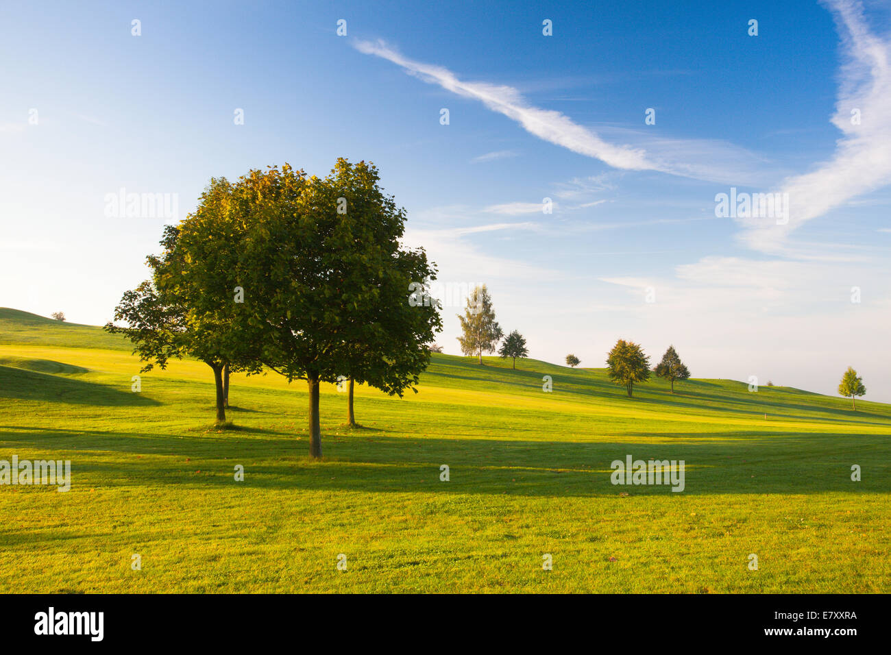 Misty morning on a empty golf course Stock Photo - Alamy
