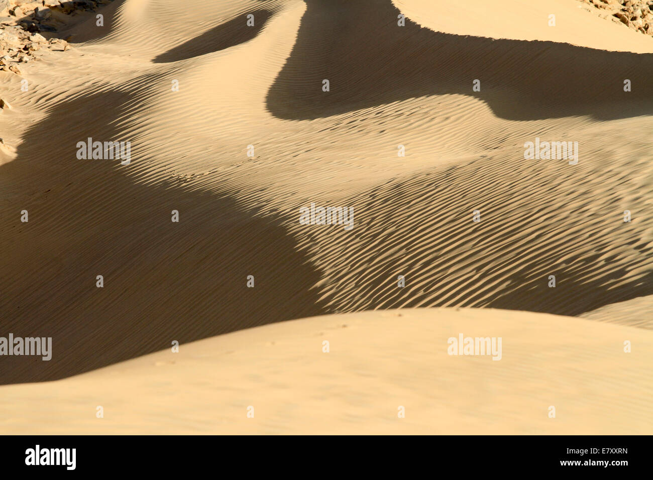 wind shaped Desert sand dune Stock Photo - Alamy