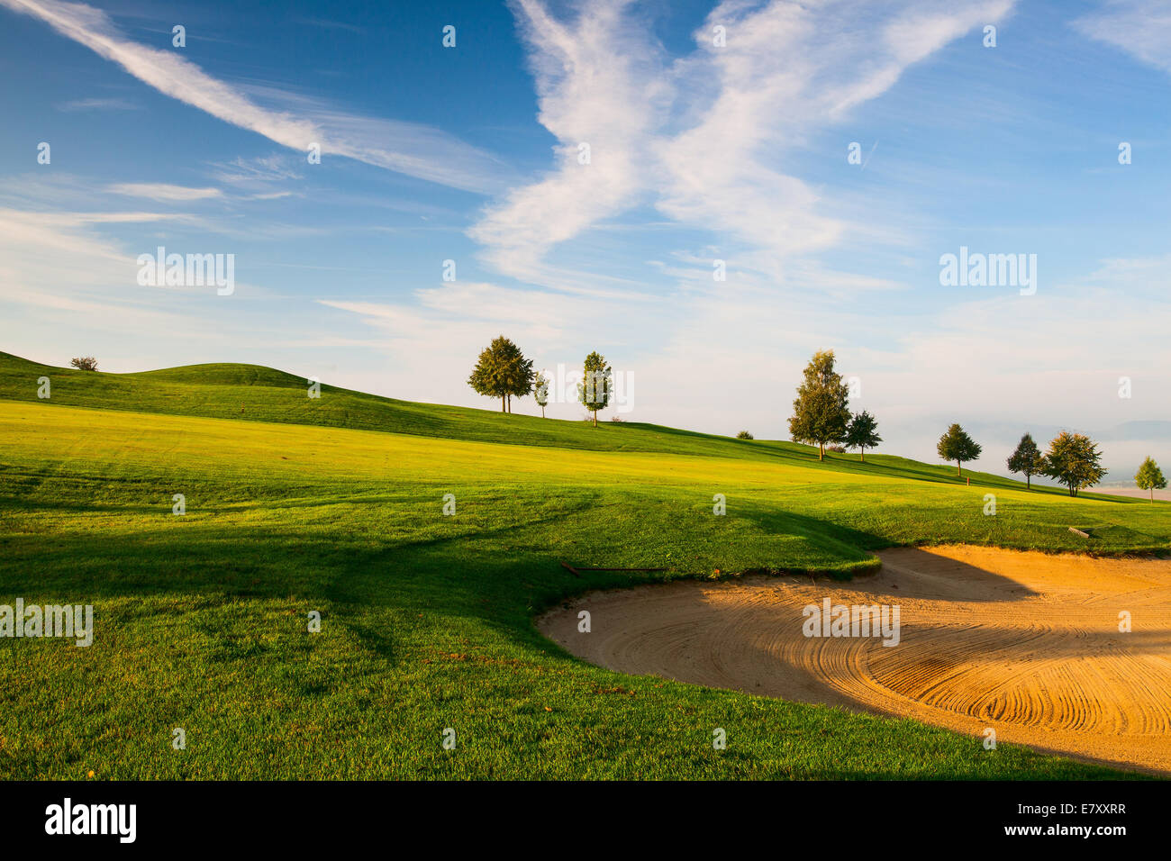 Misty morning on a empty golf course Stock Photo - Alamy