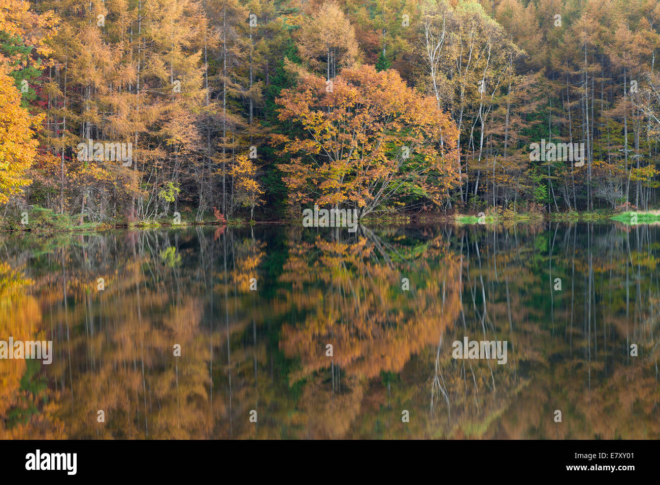 Nagano Prefecture, Japan Stock Photo - Alamy