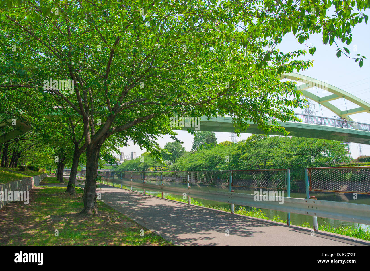 Araco river hi-res stock photography and images - Alamy