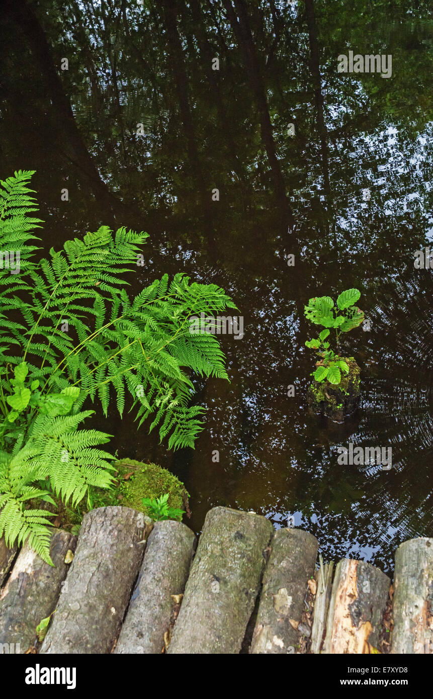 Ancient form of timber bridge hi-res stock photography and images - Alamy