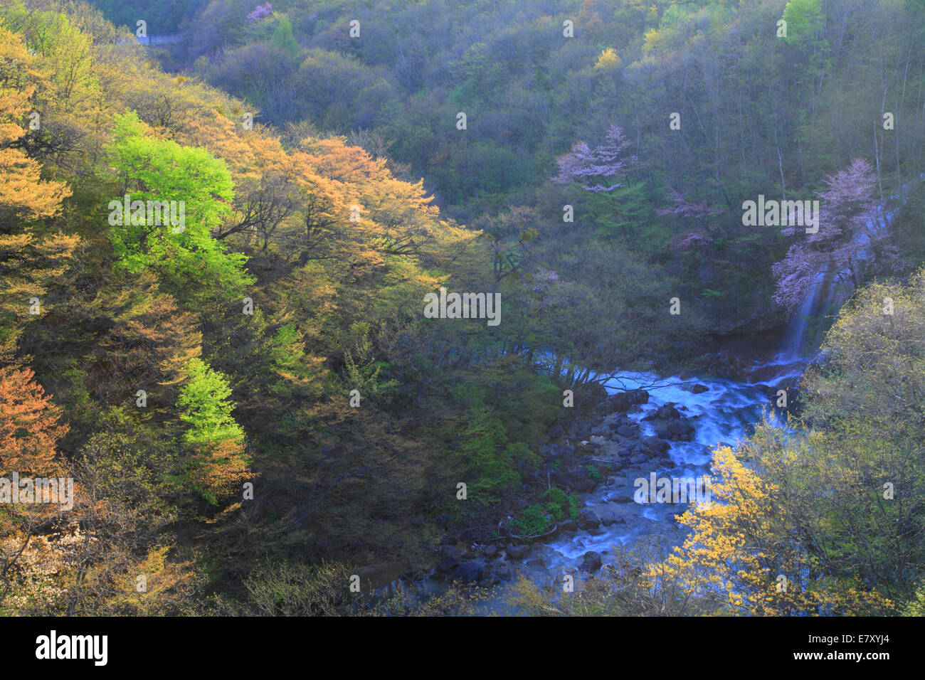 Iwate Prefecture, Japan Stock Photo - Alamy
