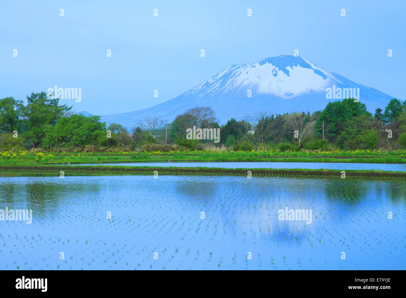 Iwate Prefecture, Japan Stock Photo - Alamy