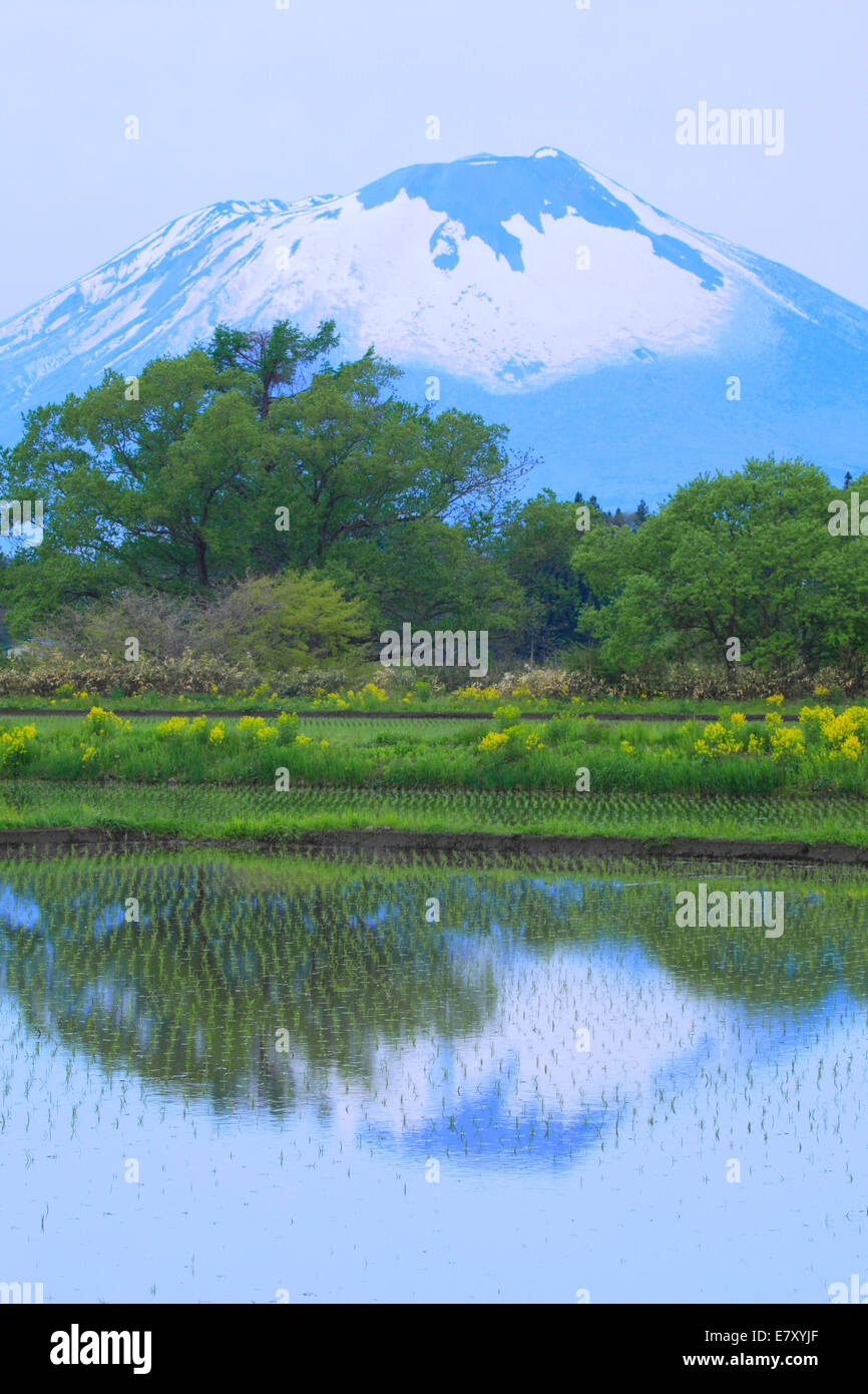 Iwate Prefecture, Japan Stock Photo - Alamy