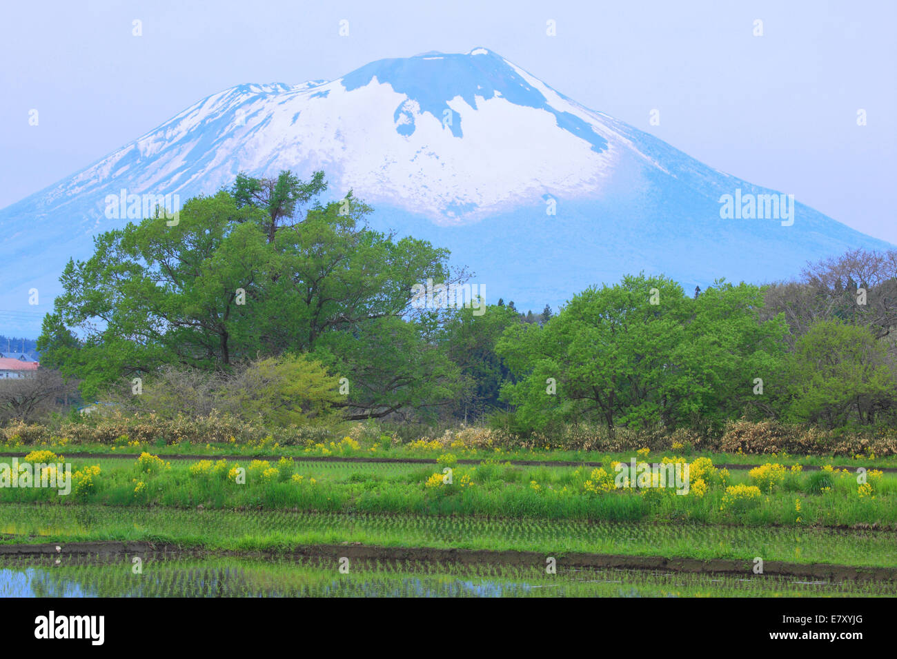 Iwate district hi-res stock photography and images - Alamy