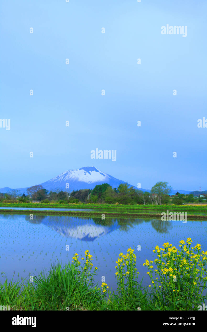Iwate Prefecture, Japan Stock Photo - Alamy