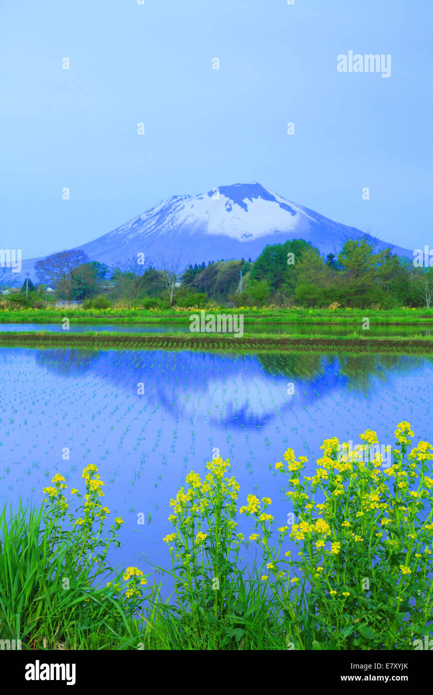 Iwate Prefecture, Japan Stock Photo - Alamy