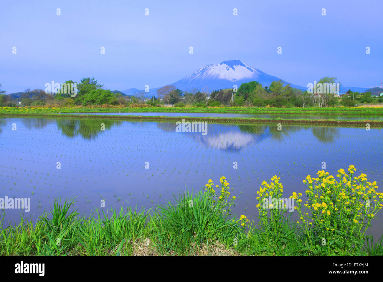 Iwate Prefecture, Japan Stock Photo - Alamy