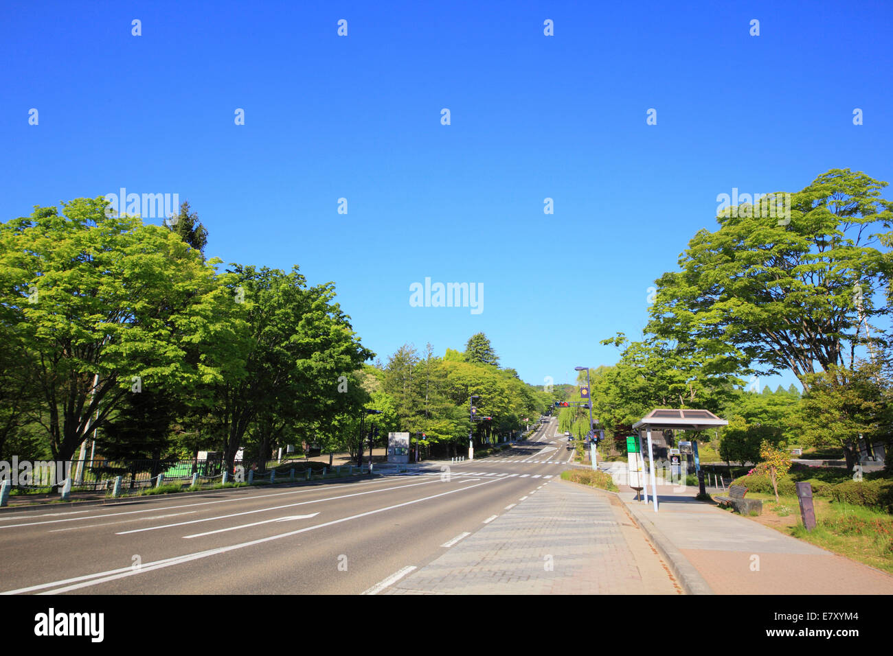 Miyagi Prefecture, Japan Stock Photo - Alamy