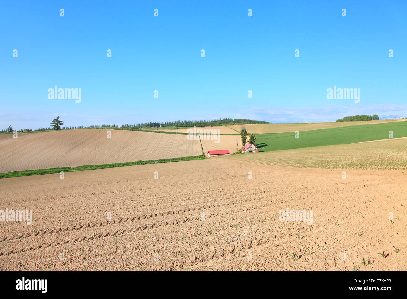 Hokkaido production hi-res stock photography and images - Alamy