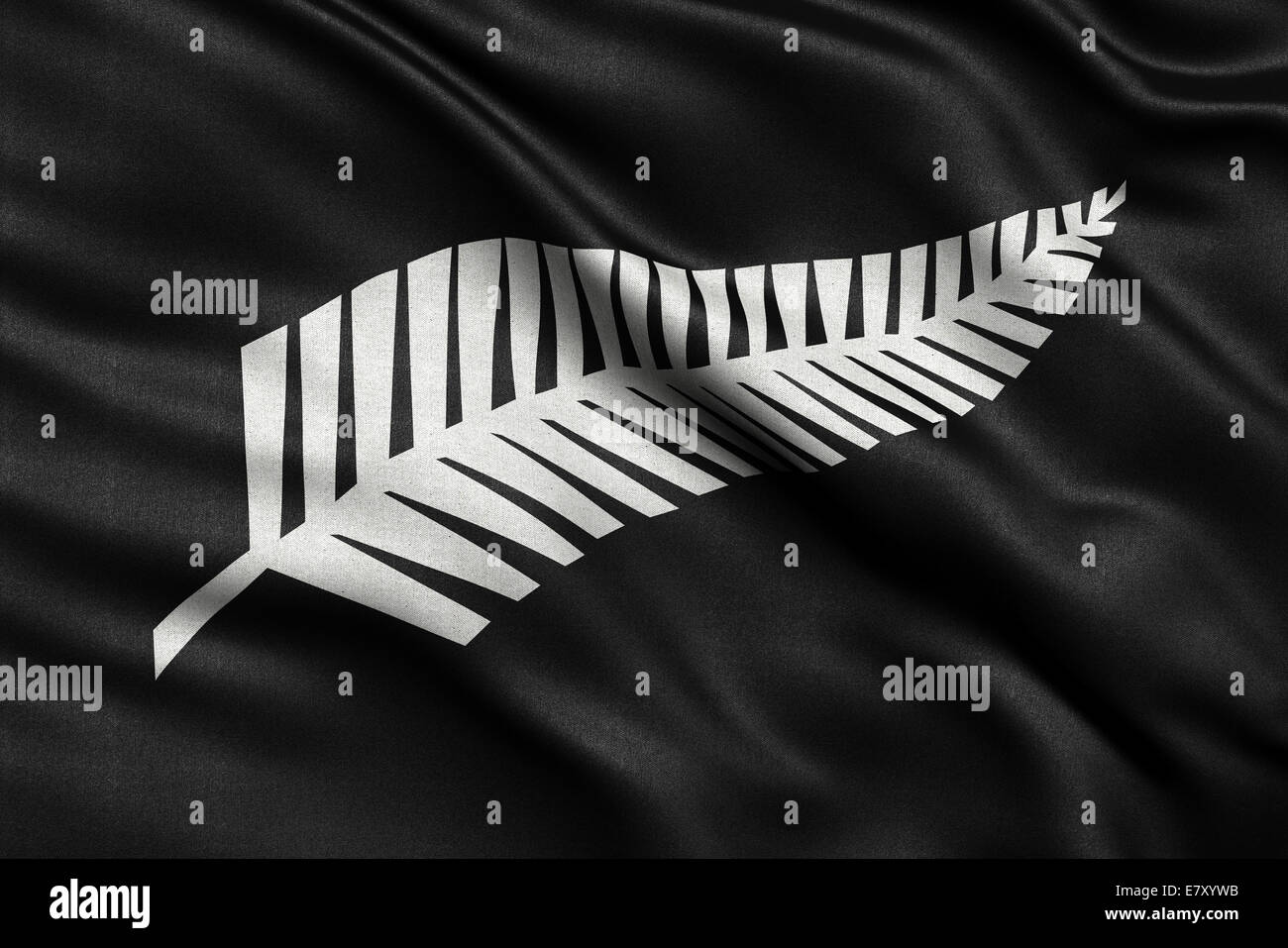 Newly proposed silver fern flag for New Zealand Stock Photo - Alamy