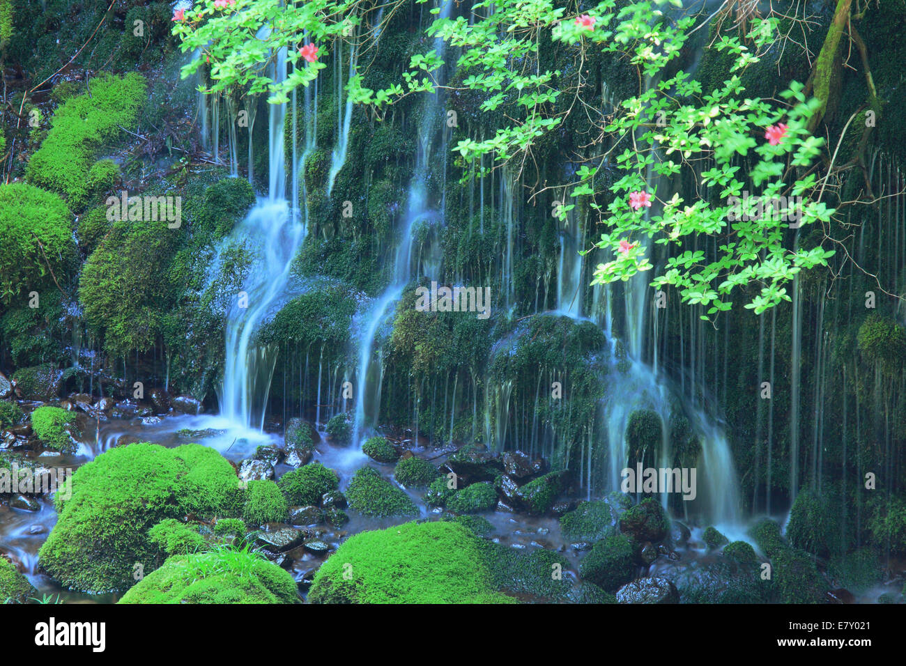 Akita Prefecture, Japan Stock Photo - Alamy