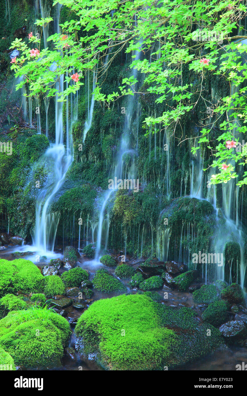 Akita Prefecture, Japan Stock Photo - Alamy
