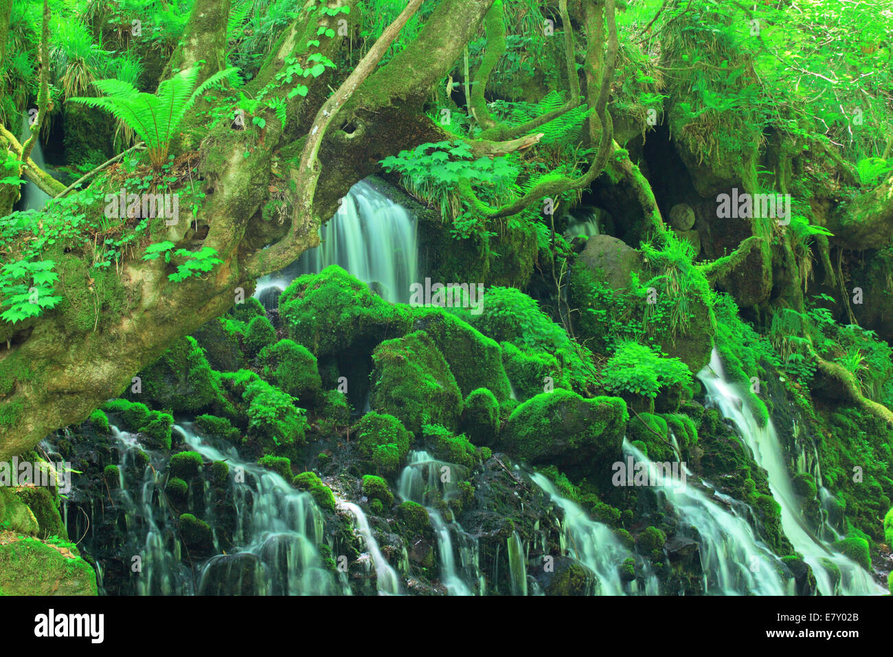 Kisakata japan hi-res stock photography and images - Alamy