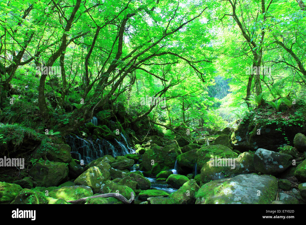 Akita Prefecture, Japan Stock Photo - Alamy