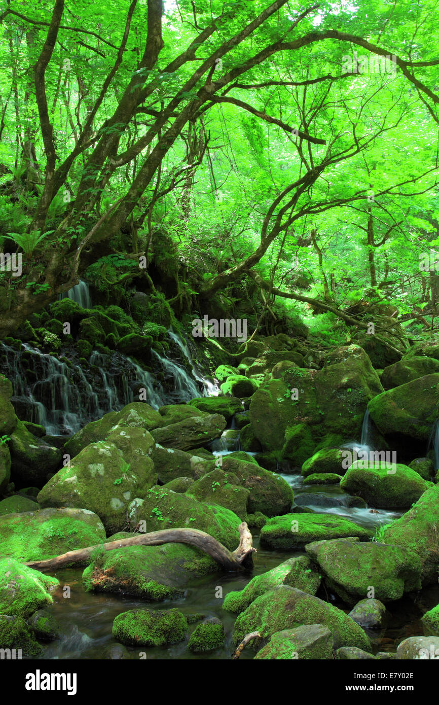 Akita Prefecture, Japan Stock Photo - Alamy