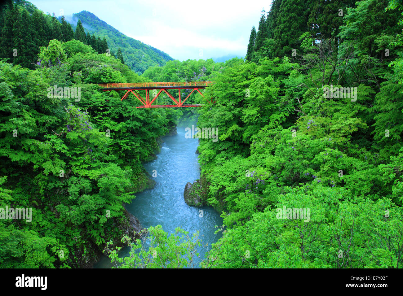 Tamagawa river bridge hi-res stock photography and images - Alamy