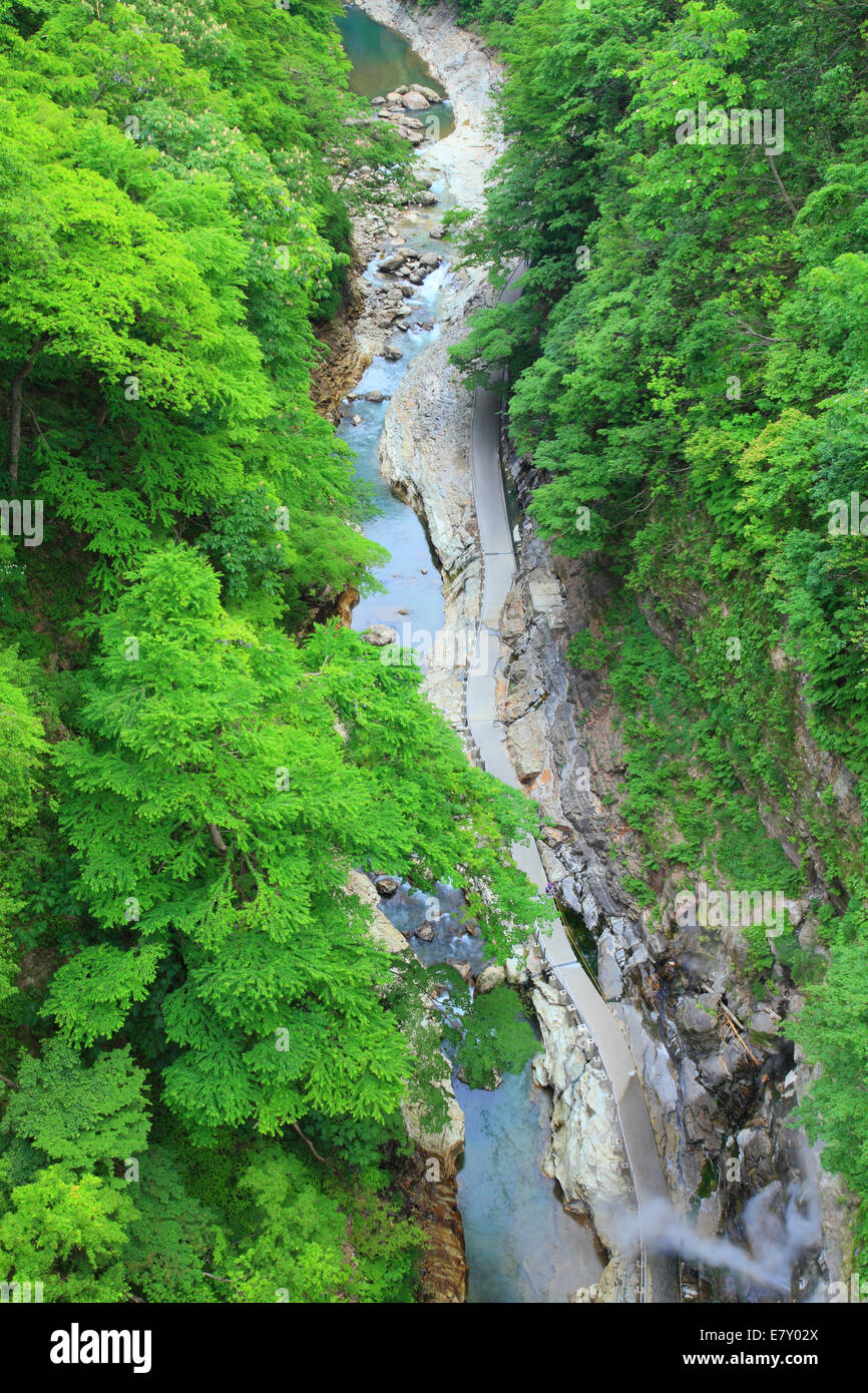 Water vapor above hot springs hi-res stock photography and images - Alamy
