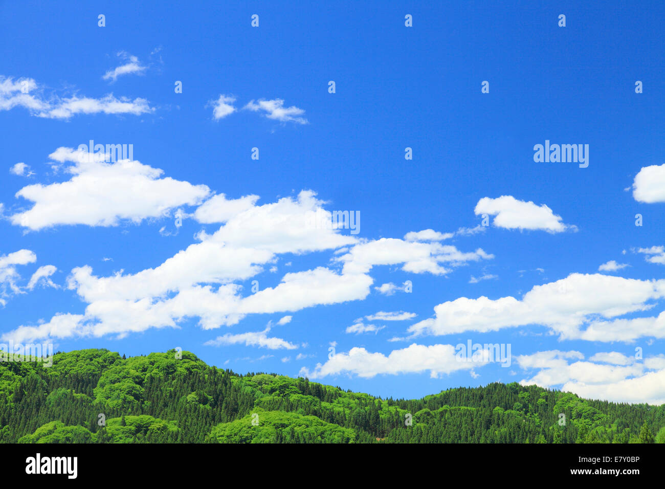 Trees and sky with clouds Stock Photo - Alamy