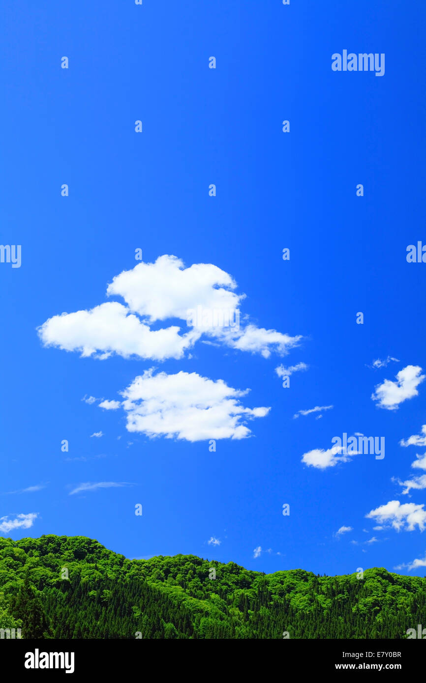 Trees and sky with clouds Stock Photo - Alamy