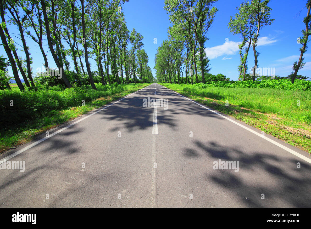 So ogata of japan hi-res stock photography and images - Alamy