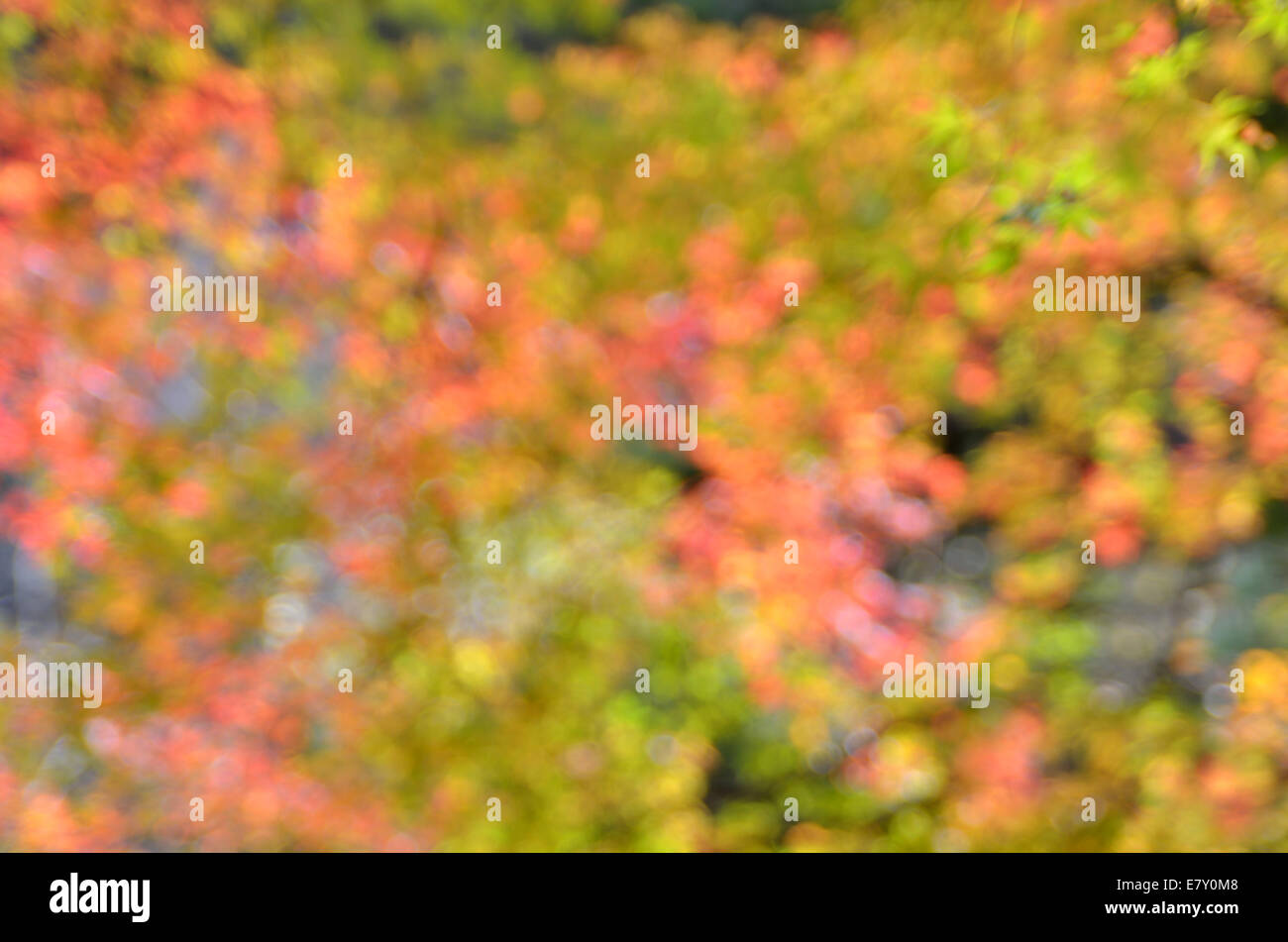 Blurred Autumn leaves Stock Photo - Alamy