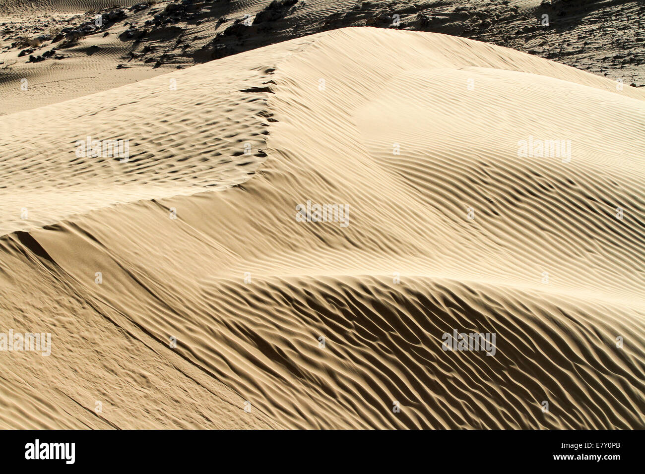 wind shaped Desert sand dune Stock Photo - Alamy