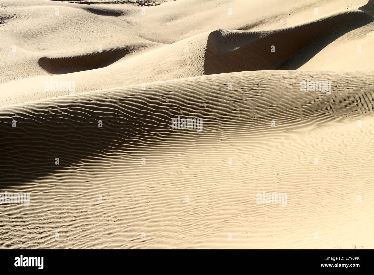 wind shaped Desert sand dune Stock Photo - Alamy