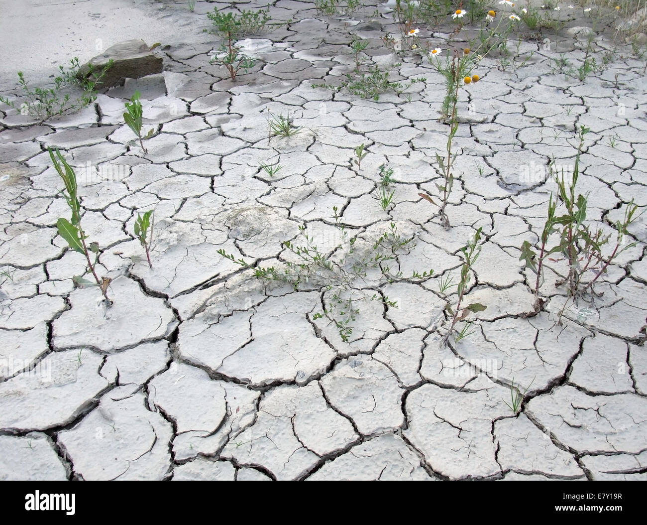 dry cracked soil area Stock Photo - Alamy