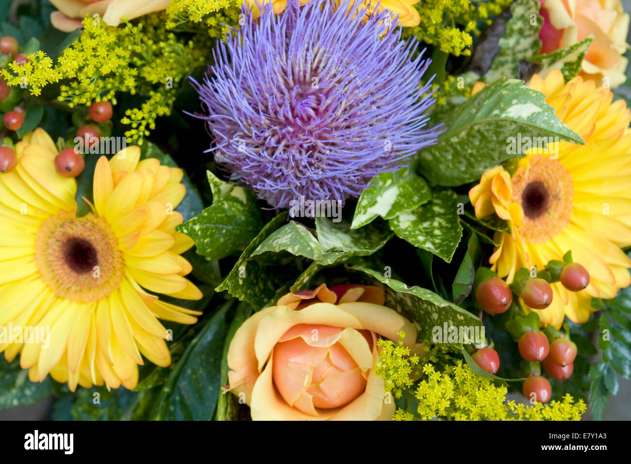full frame detail of a colorful bunch of various flowers Stock Photo ...