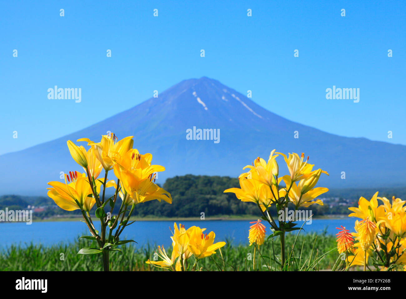 Fuji Five Lakes, Yamanashi Prefecture, Japan Stock Photo - Alamy