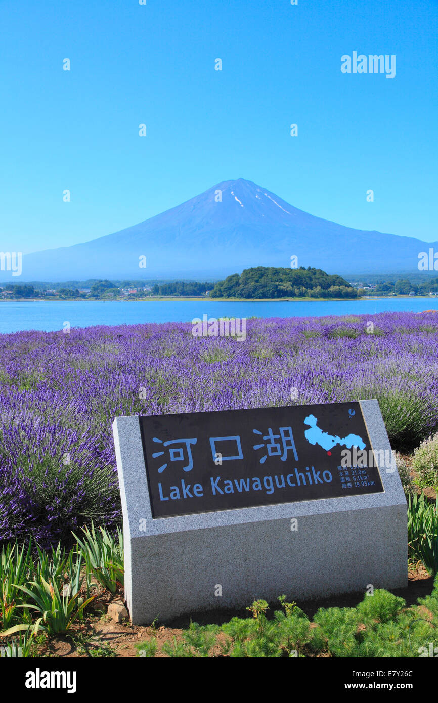 Fuji five lakes hi-res stock photography and images - Alamy