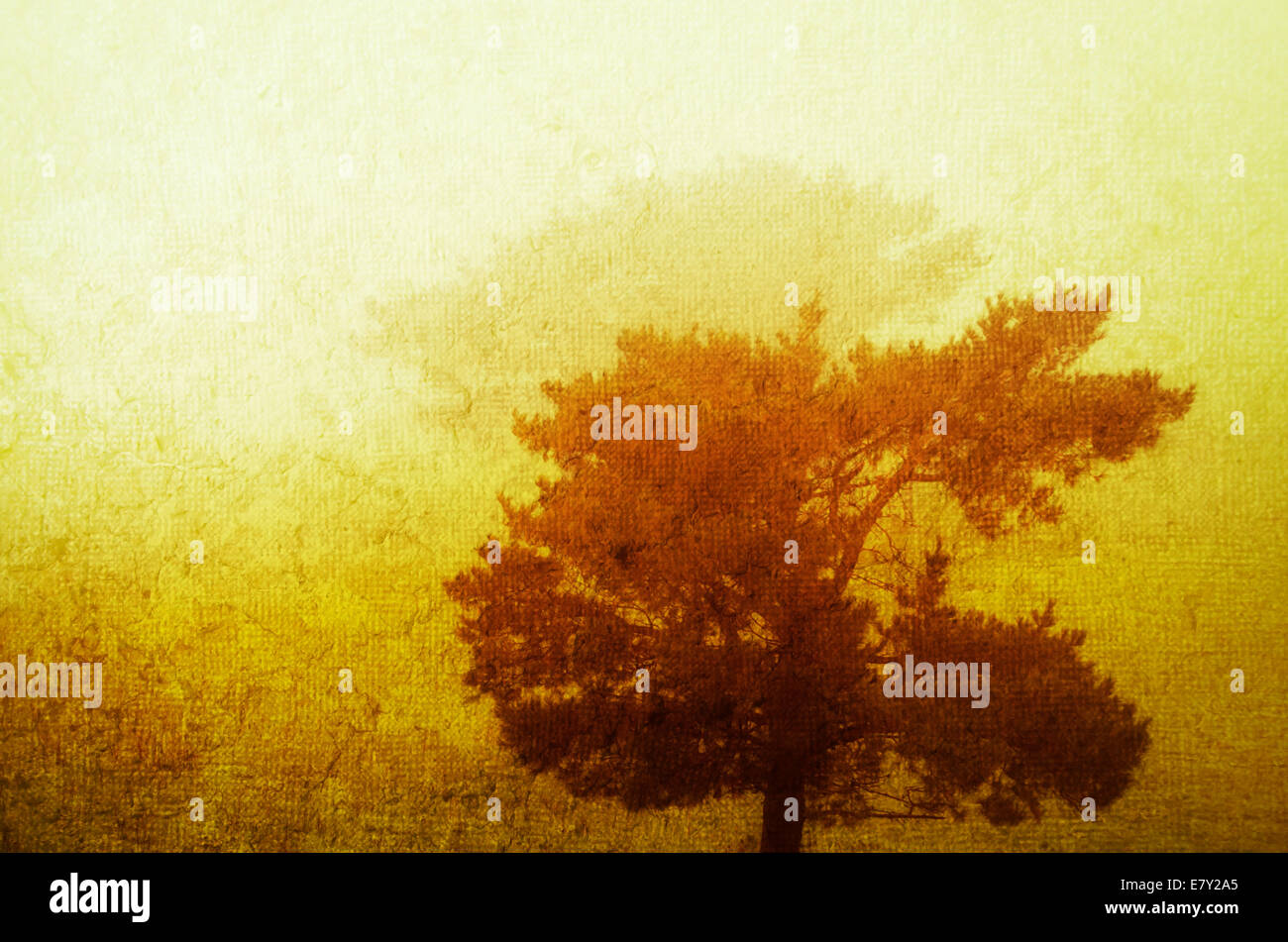 landscape with trees in the fog Stock Photo - Alamy