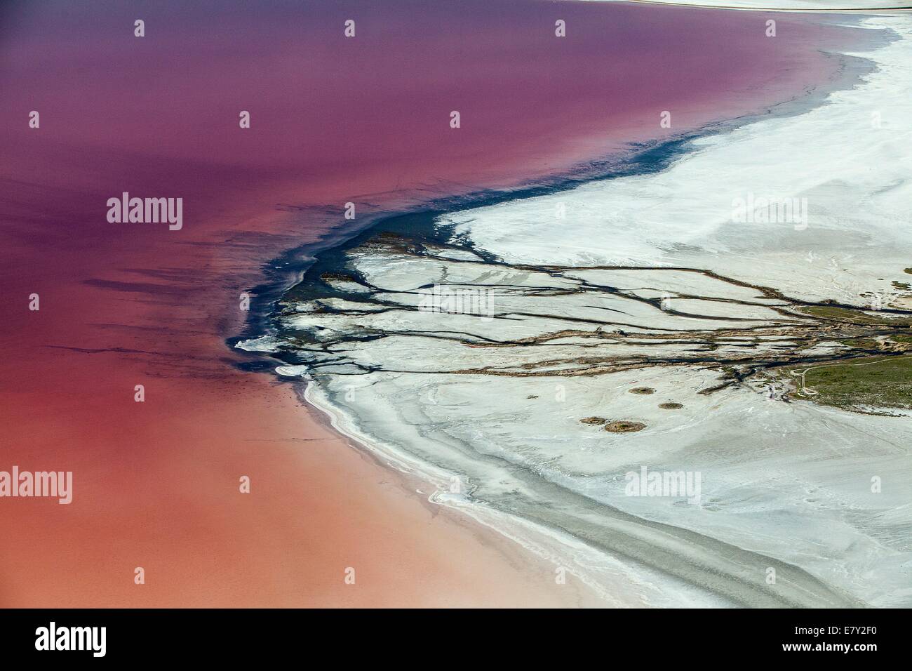 Lake Elton is a salt lake in Volgograd region, Russia, near the border ...