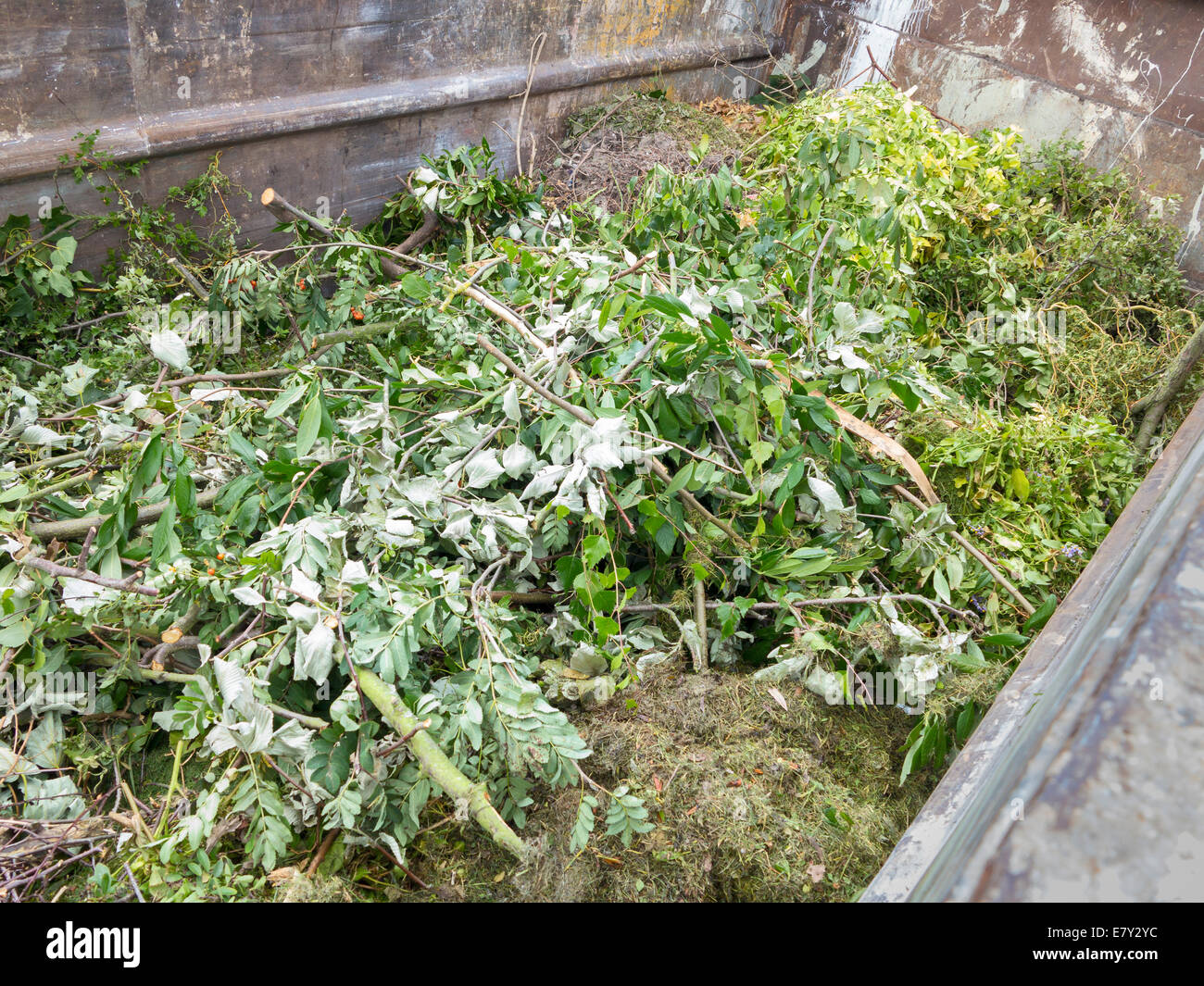 Garden waste hi-res stock photography and images - Alamy