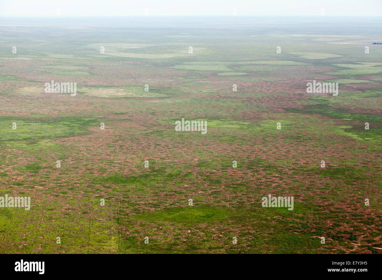 Russia steppe hi-res stock photography and images - Alamy